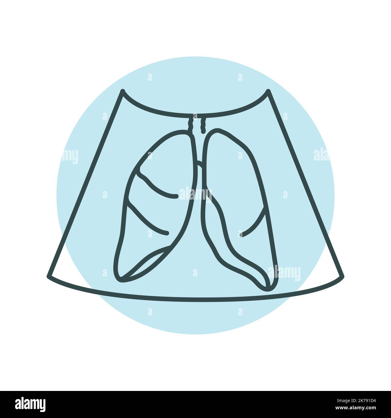 Lung ultrasound color line illustration Stock Vector Image & Art - Alamy