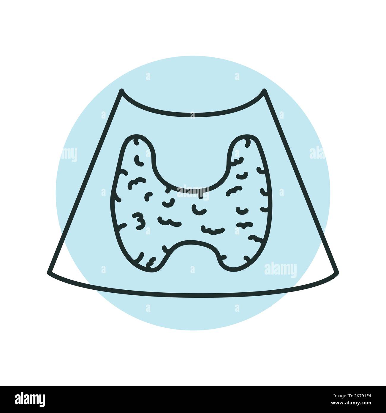 Thyroid Gland Drawing