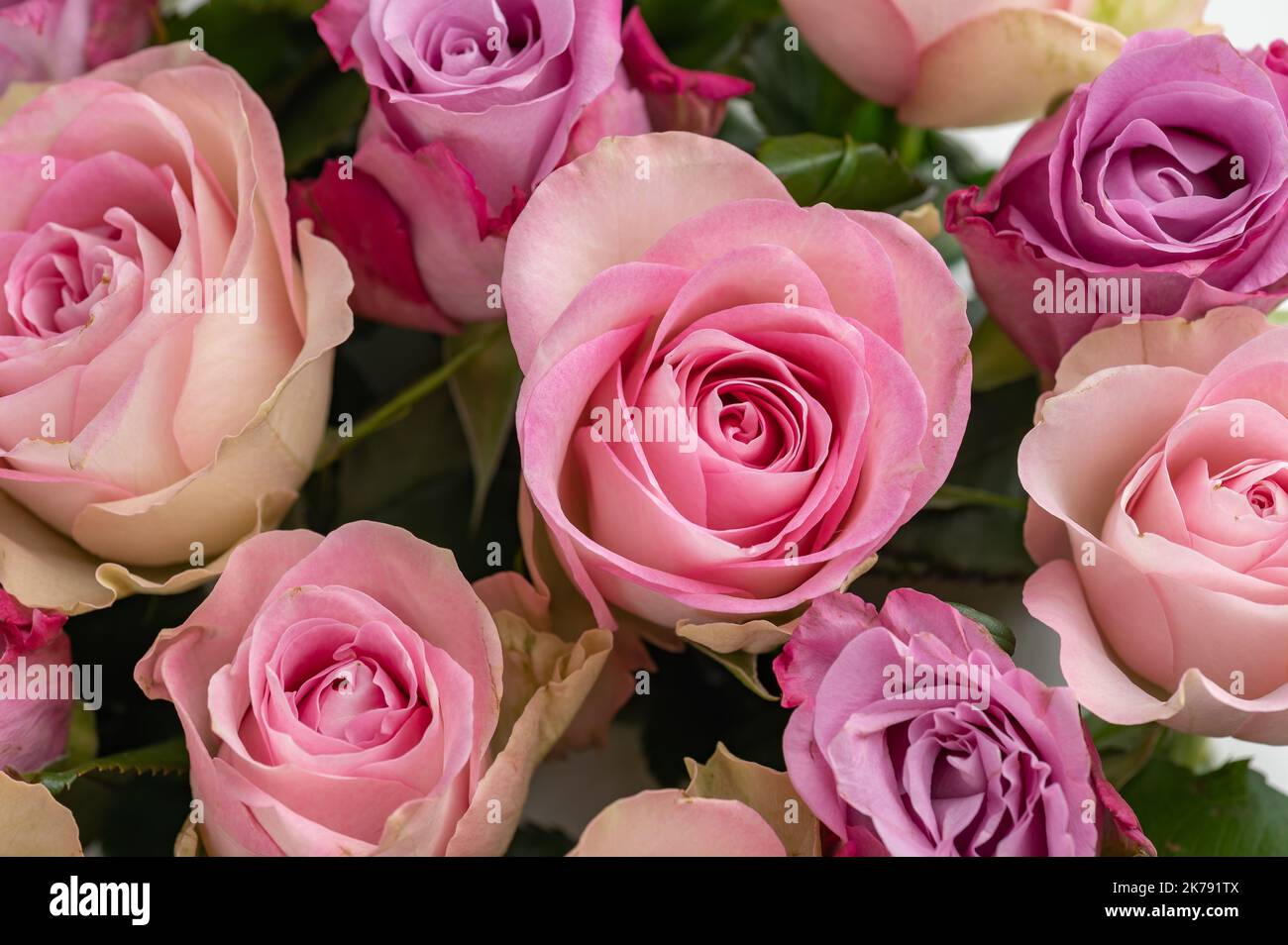 Rose flower bouquet on white background close up Stock Photo - Alamy