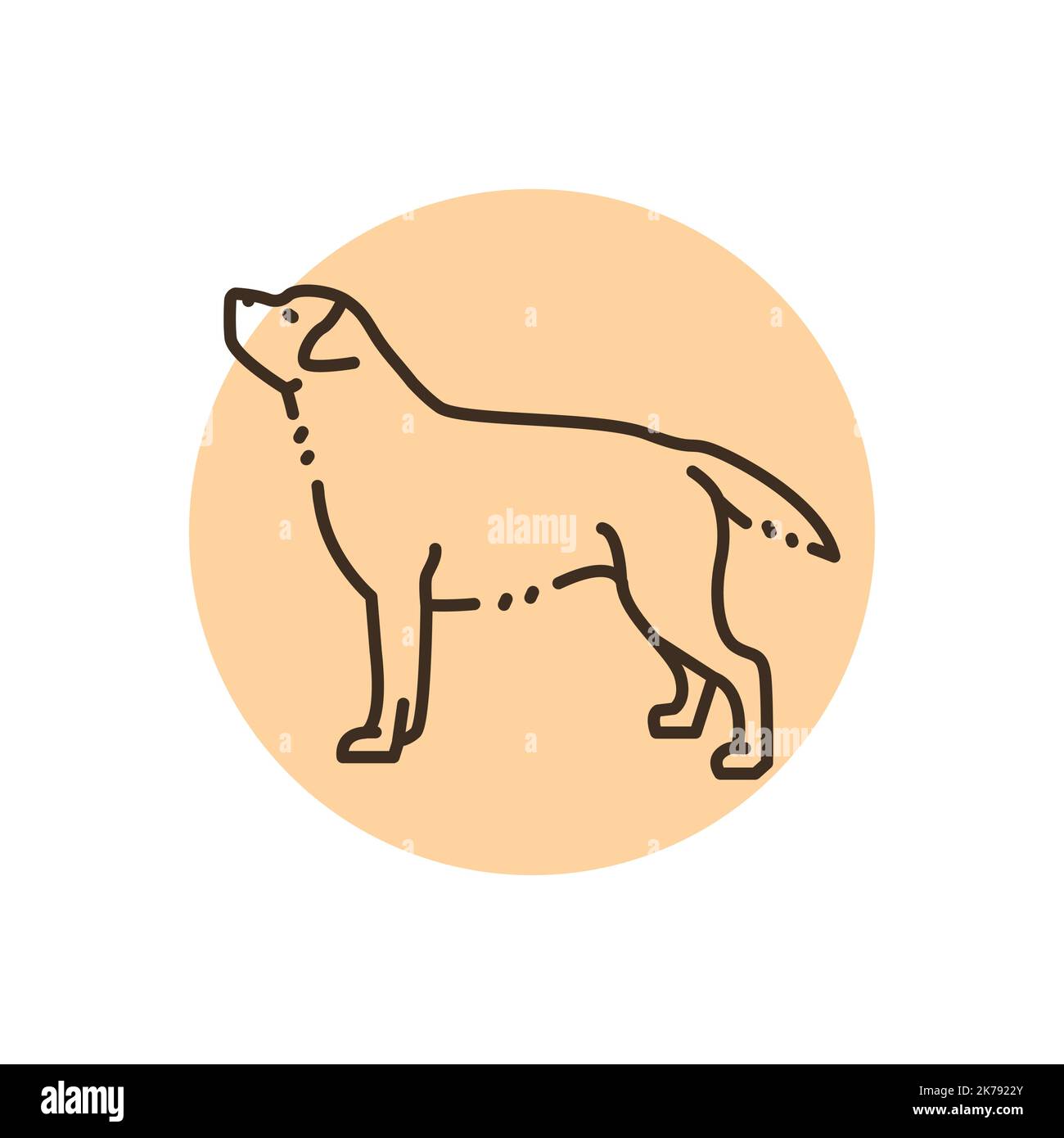 Labrador retriever color line icon. Dog breed Stock Vector Image & Art ...