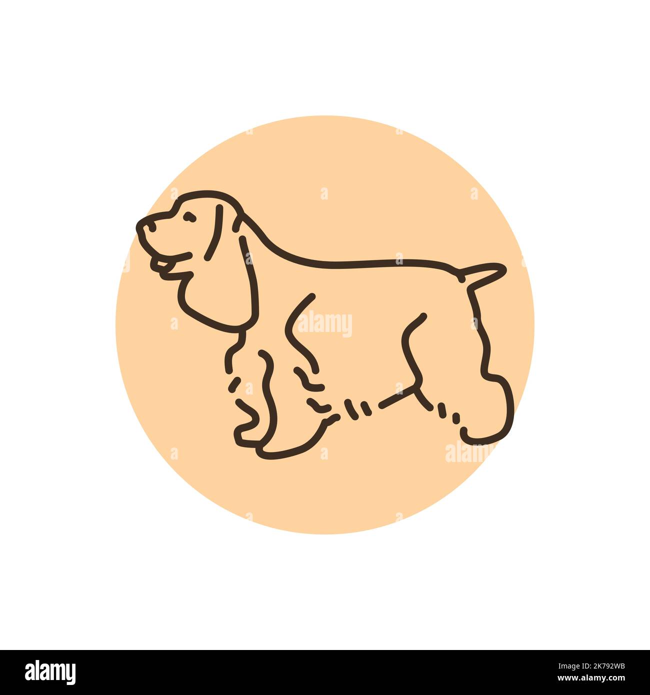 Standing brown spaniel dog Stock Vector Images - Alamy