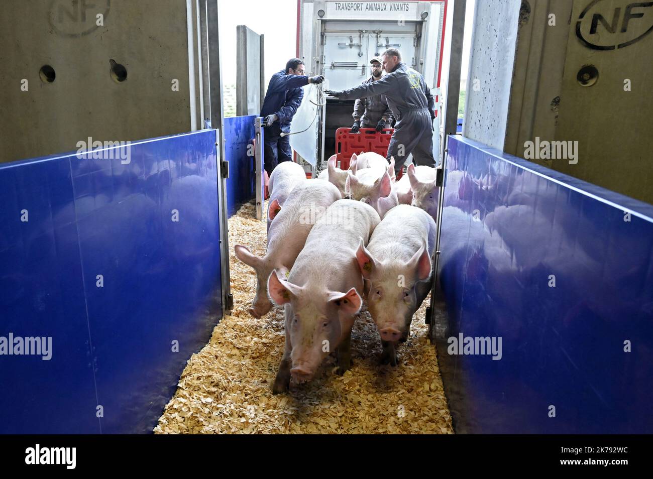Loading of thirty travel crates, each filled with about thirty French ...