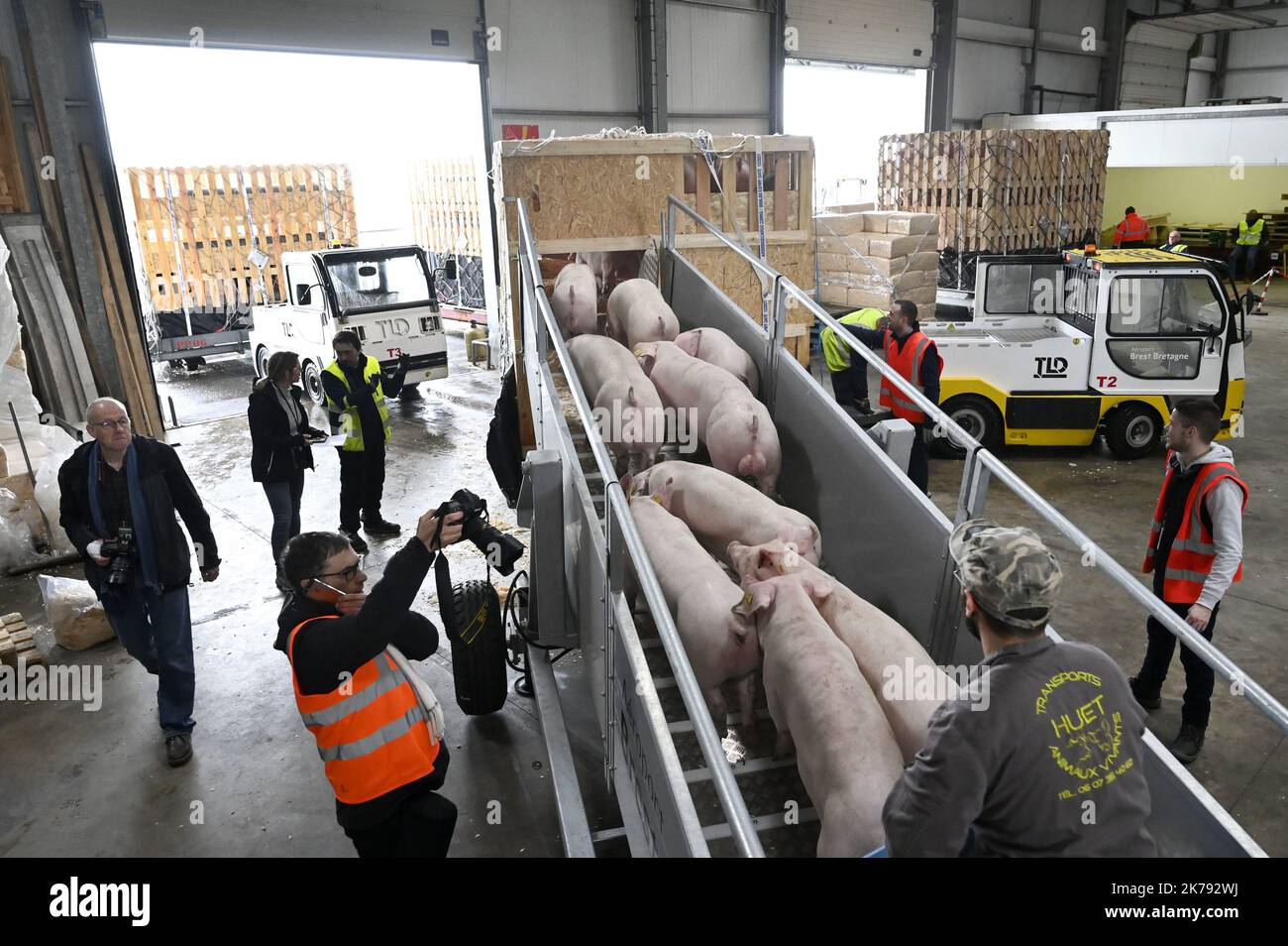 Loading of thirty travel crates, each filled with about thirty French ...