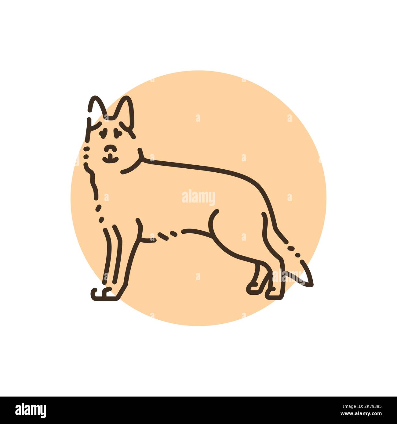 German Shepherd color line icon. Dog breed Stock Vector Image & Art - Alamy