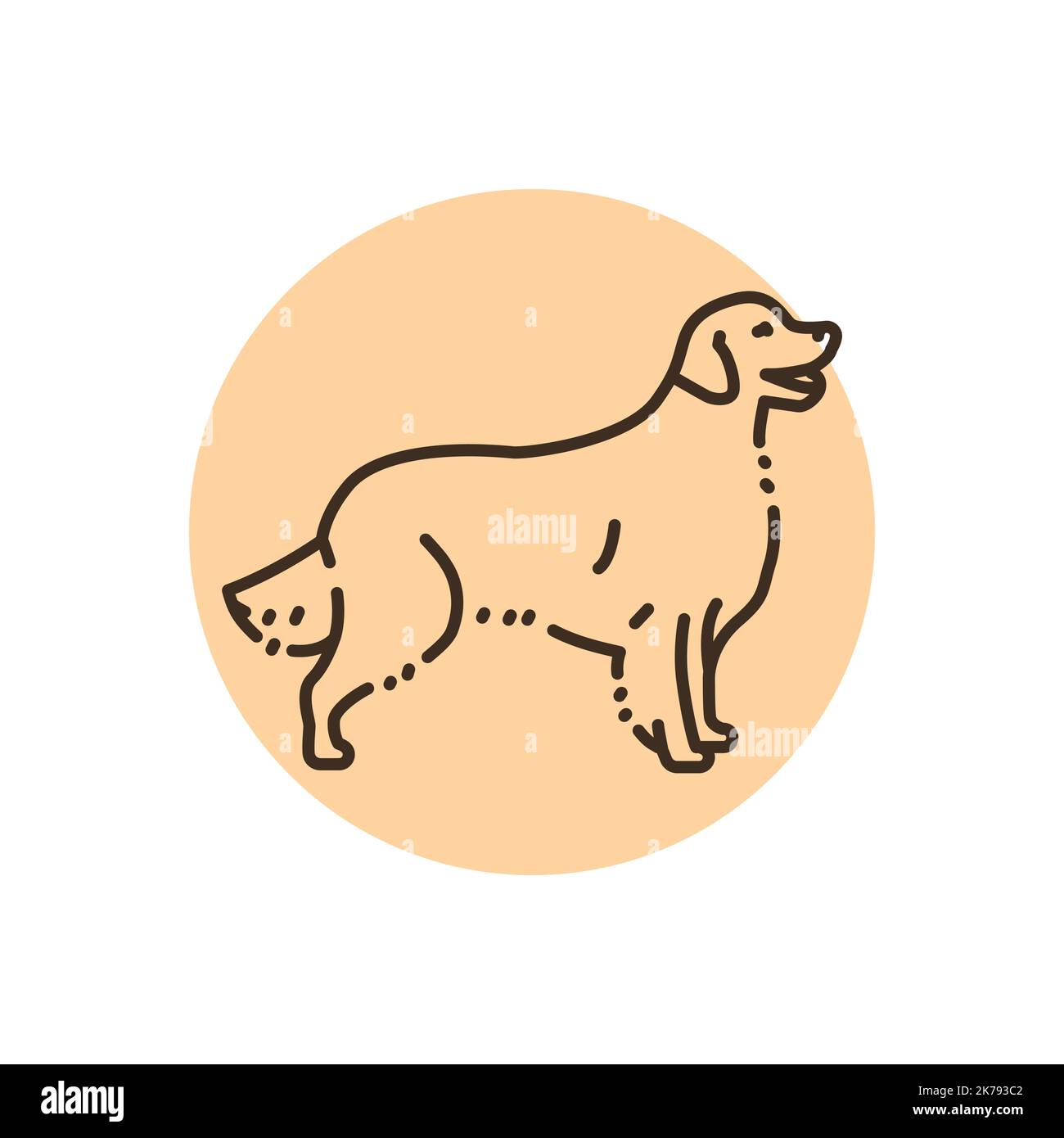 Golden retriever color line icon. Dog breed Stock Vector Image & Art ...