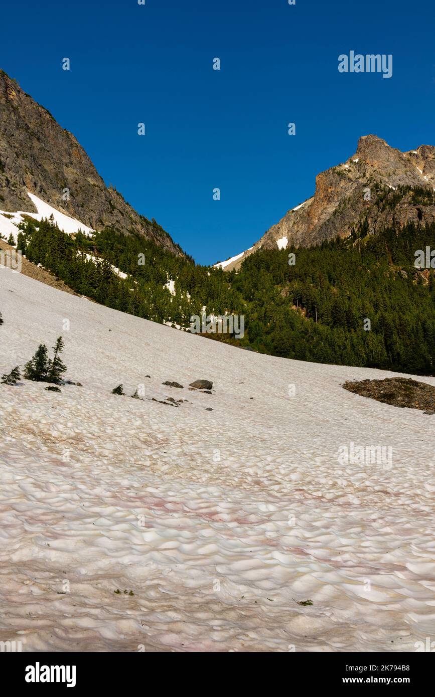 Photograph taken from Easy Pass. Snow still on the ground in mid-July ...