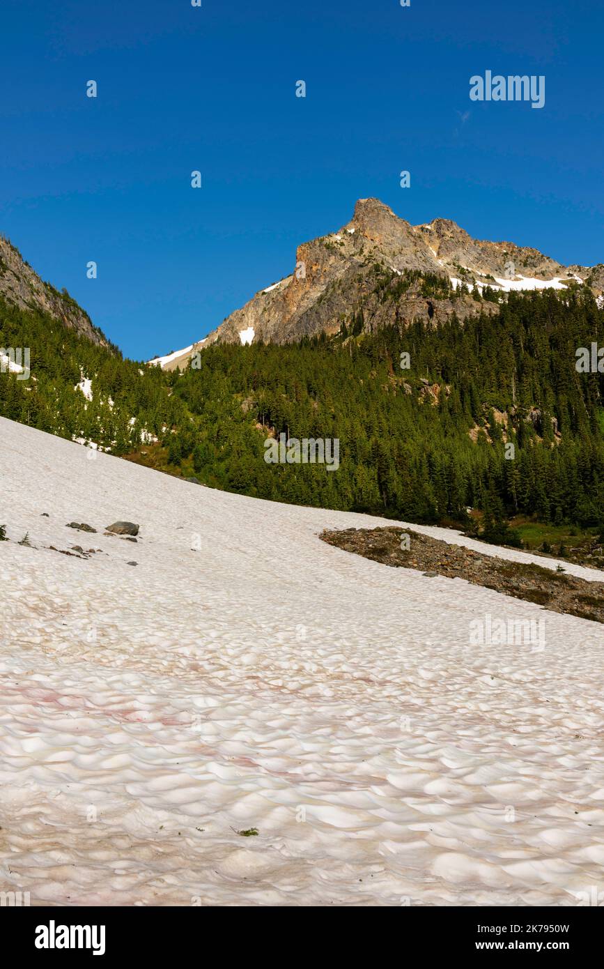 Photograph taken from Easy Pass. Snow still on the ground in mid-July ...