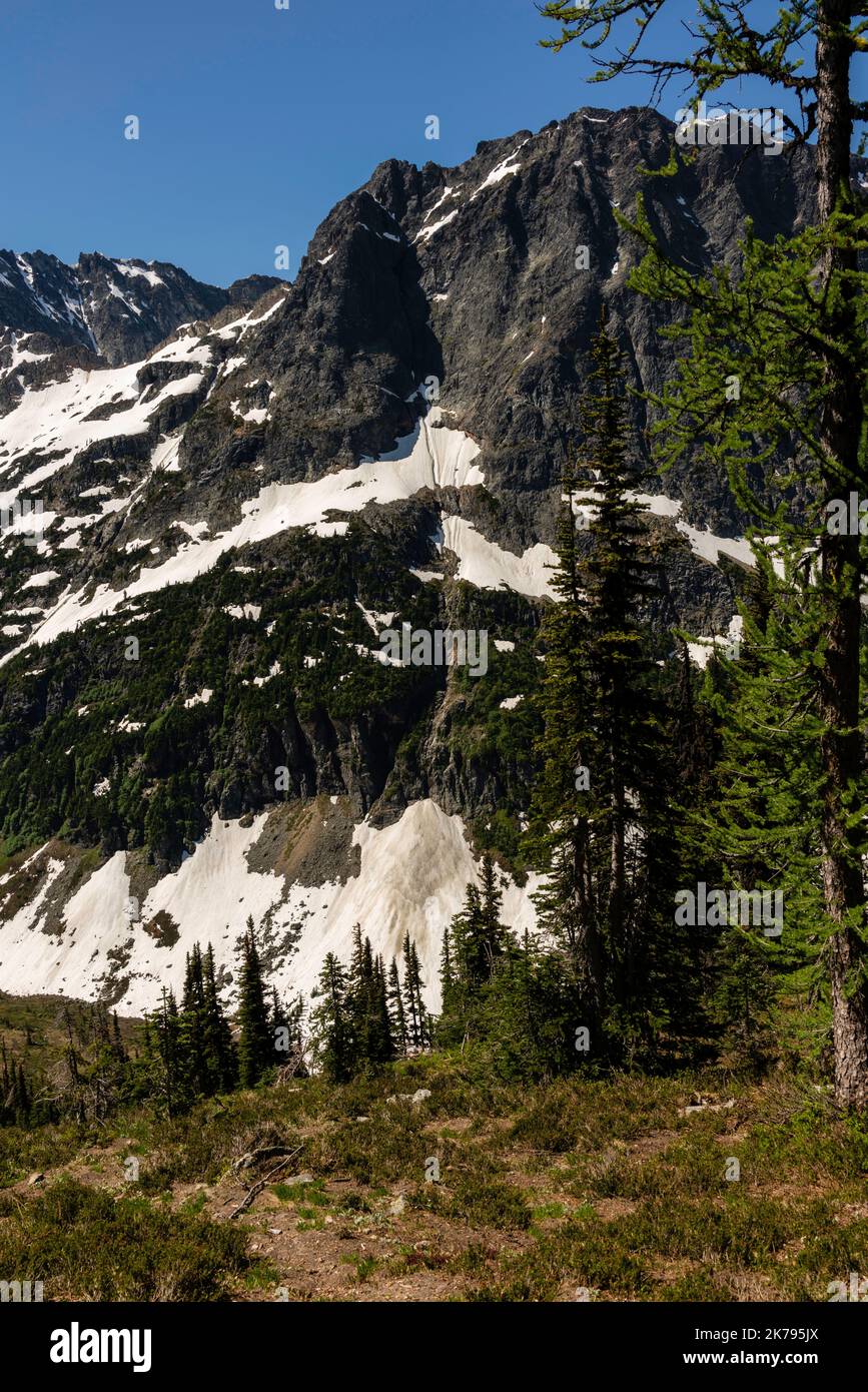 Photograph taken from Easy Pass. Snow still on the ground in mid-July ...