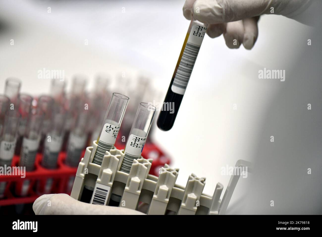 The ATOUTBIO laboratory in Maxéville, next to Nancy, is the first in ...
