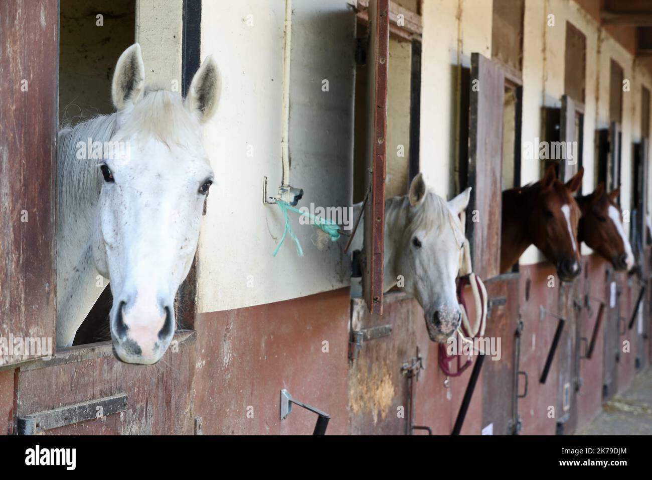 Generals views of Mulhouse Horse Racing, due to the covid-19 pandemic ...