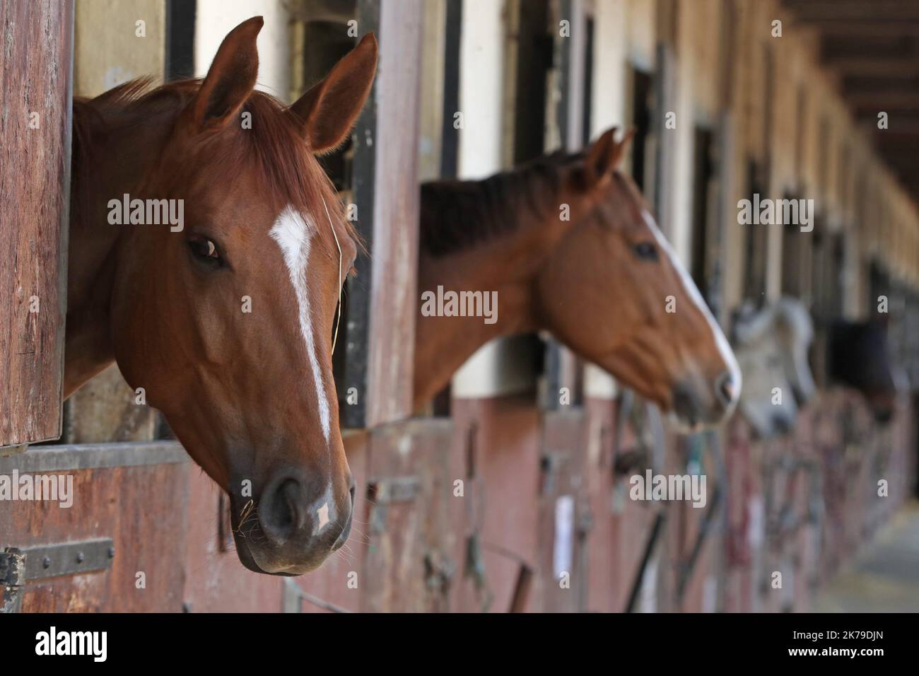 Generals views of Mulhouse Horse Racing, due to the covid-19 pandemic ...