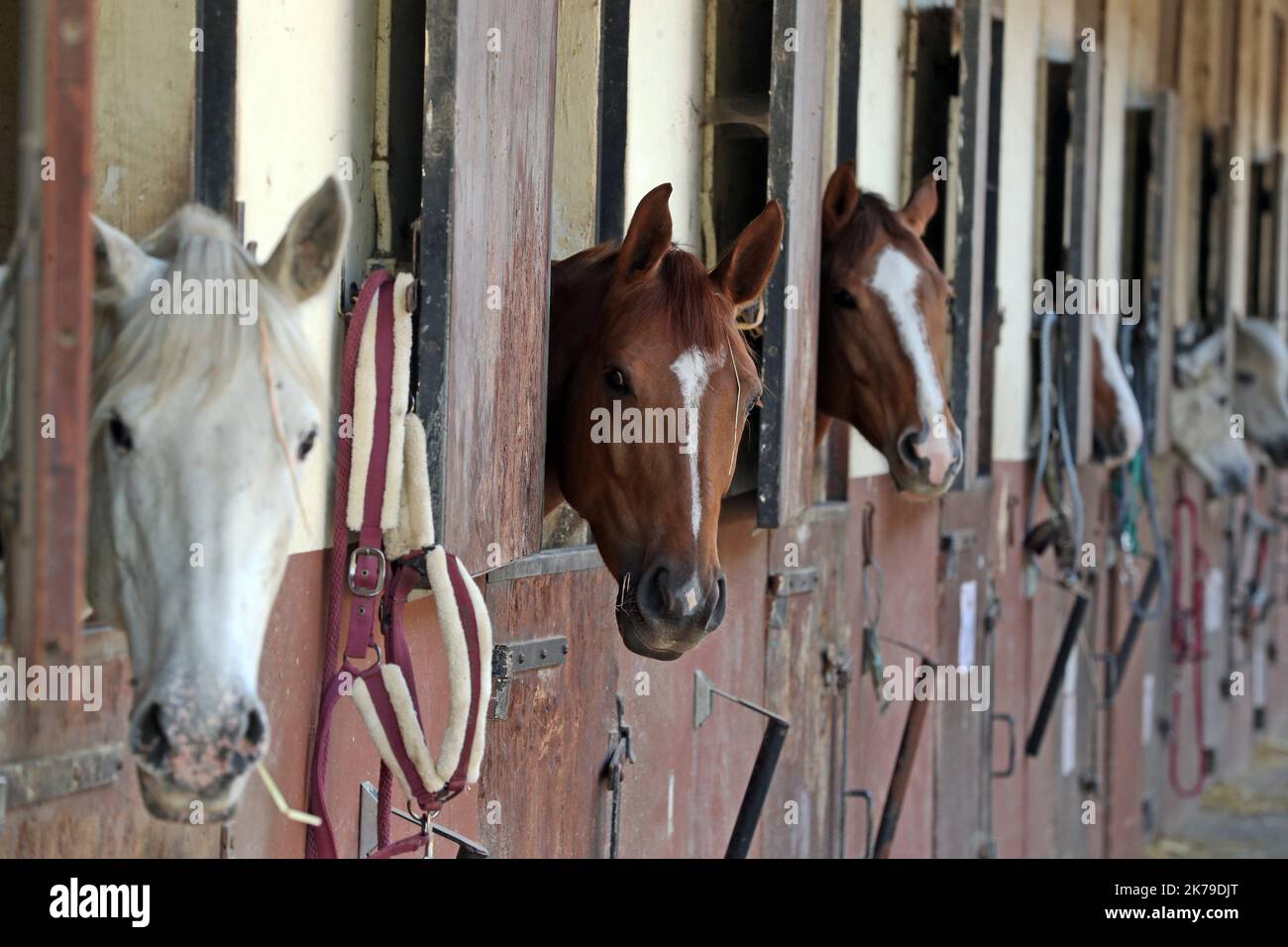 Generals views of Mulhouse Horse Racing, due to the covid-19 pandemic ...