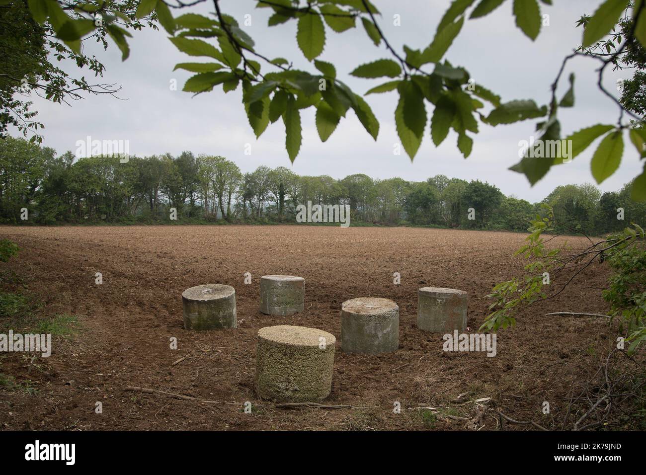 2020/05/10. Demonstration against 5G Relay Antenna Implementation ...