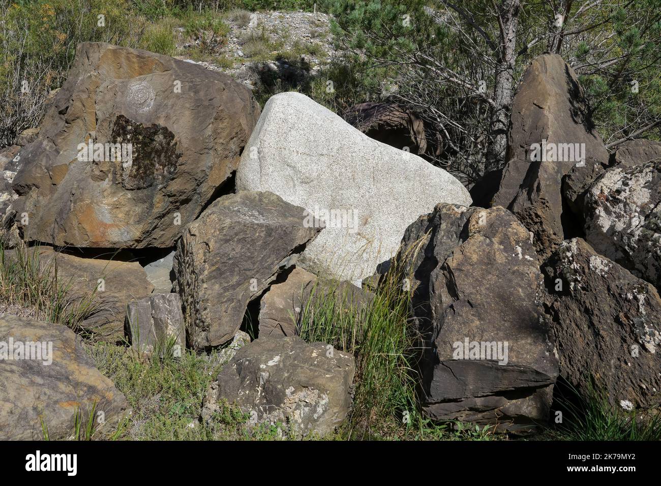 view along a glacial forest lined valley to a massive mountainous ...