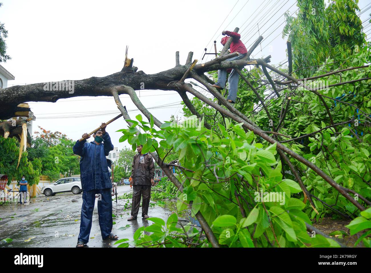 India / Tripura / Agartala - AMC (Agartala Municipal Corporation) workers clean the roads of ...