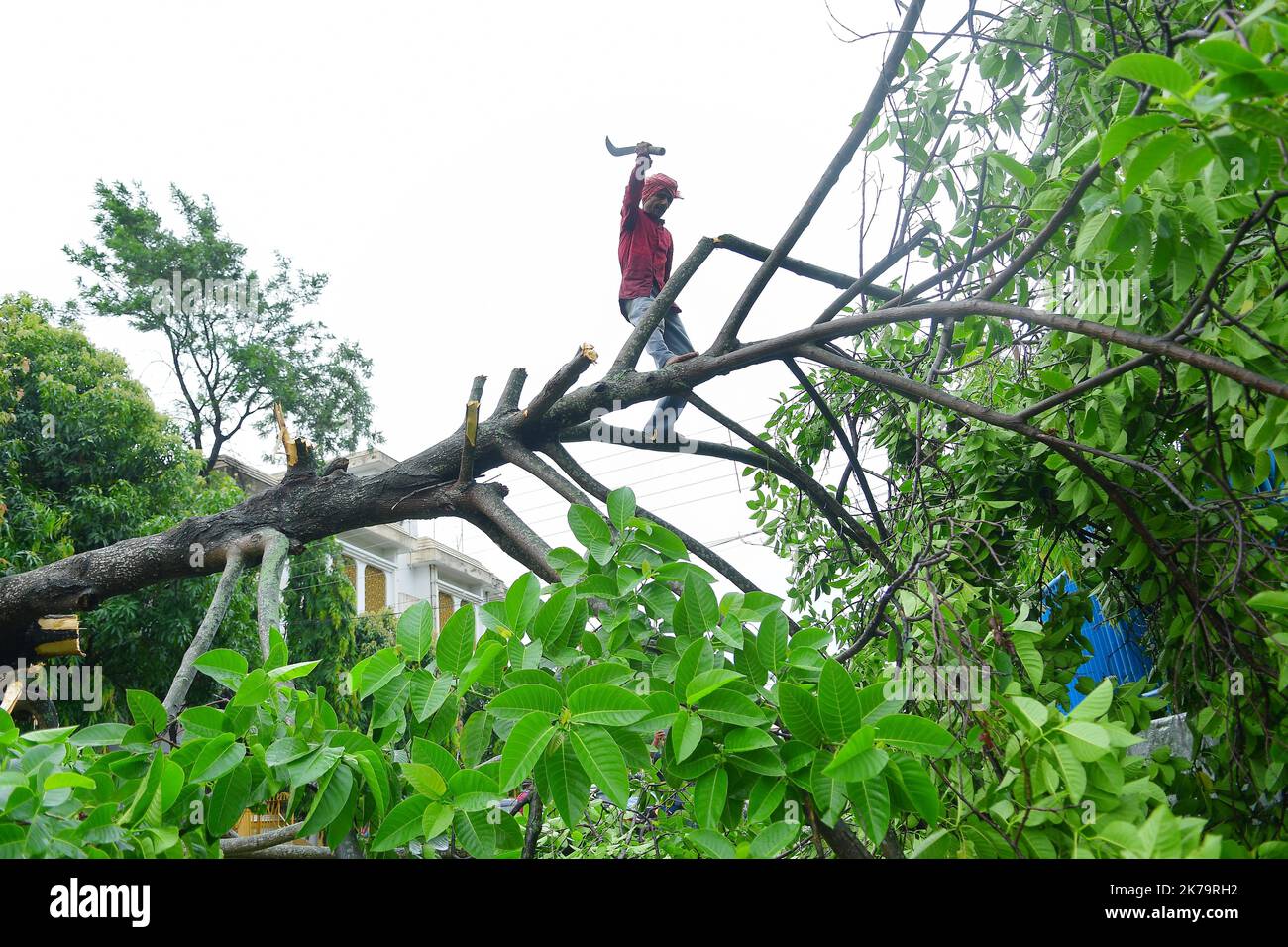 Mauvais environnement hi-res stock photography and images - Alamy