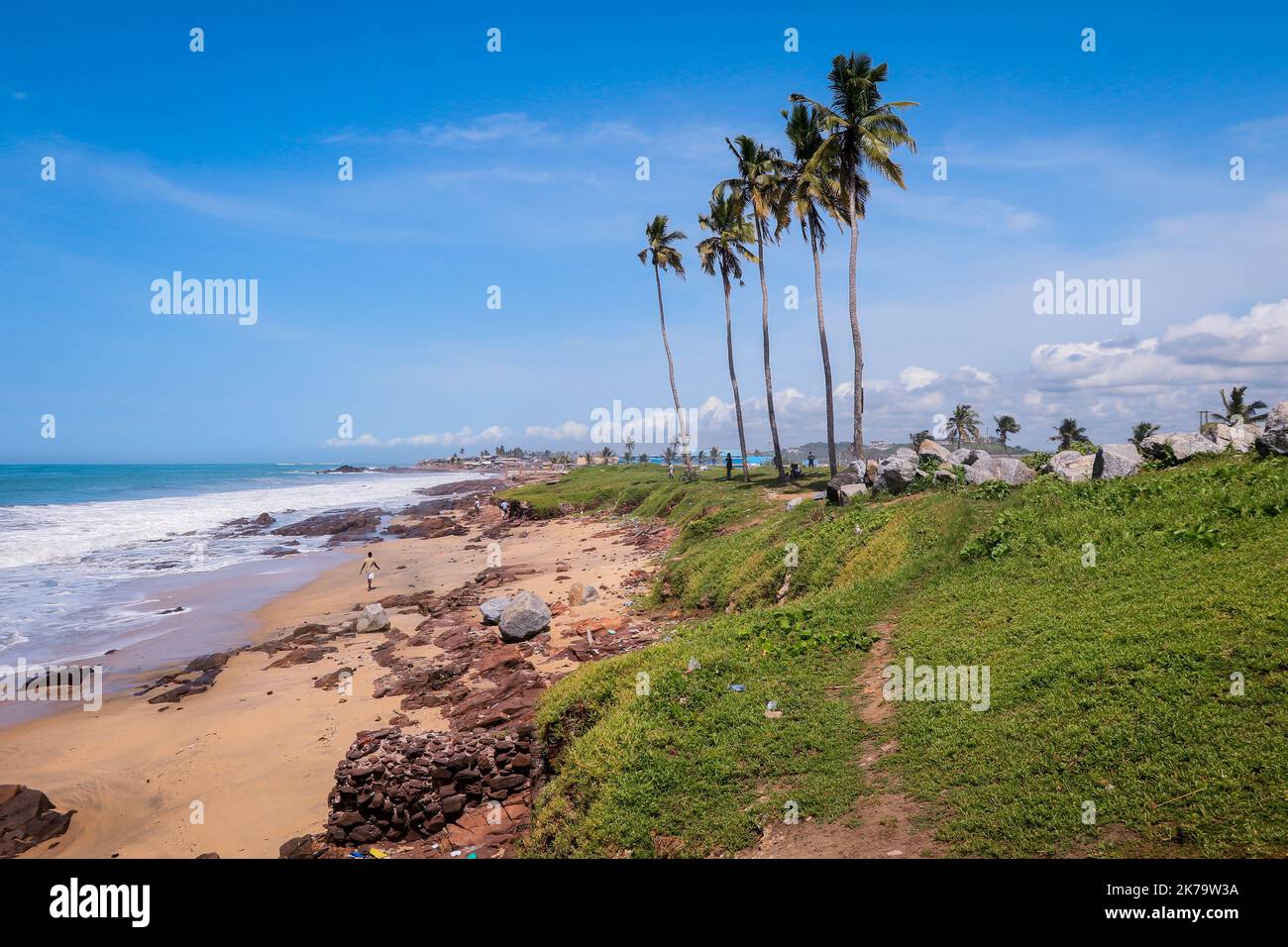 Atlantic Ocean coastline with the turquoise waves among the Palm Trees ...