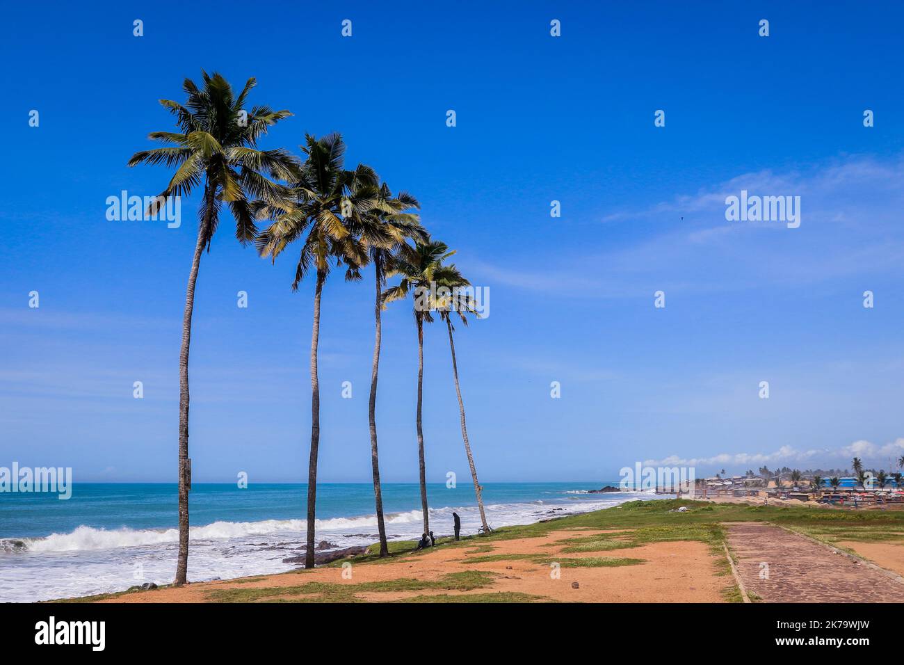 Atlantic Ocean coastline with the turquoise waves among the Palm Trees ...