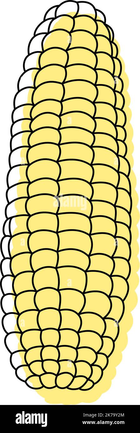 Doodle outline ear of corn with spot. Vector hand-drawn illustration ...