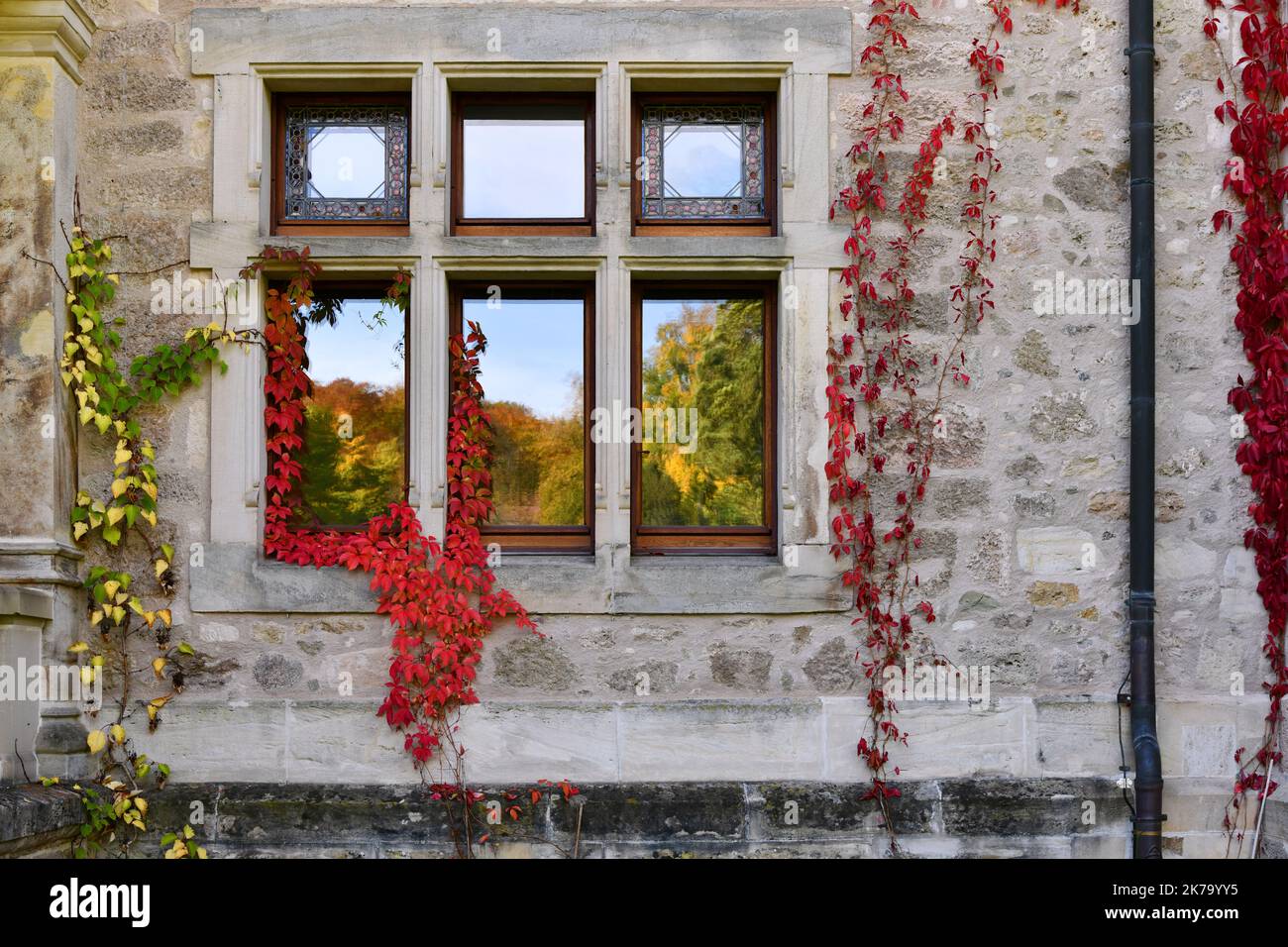 Castle window with red wine Stock Photo - Alamy