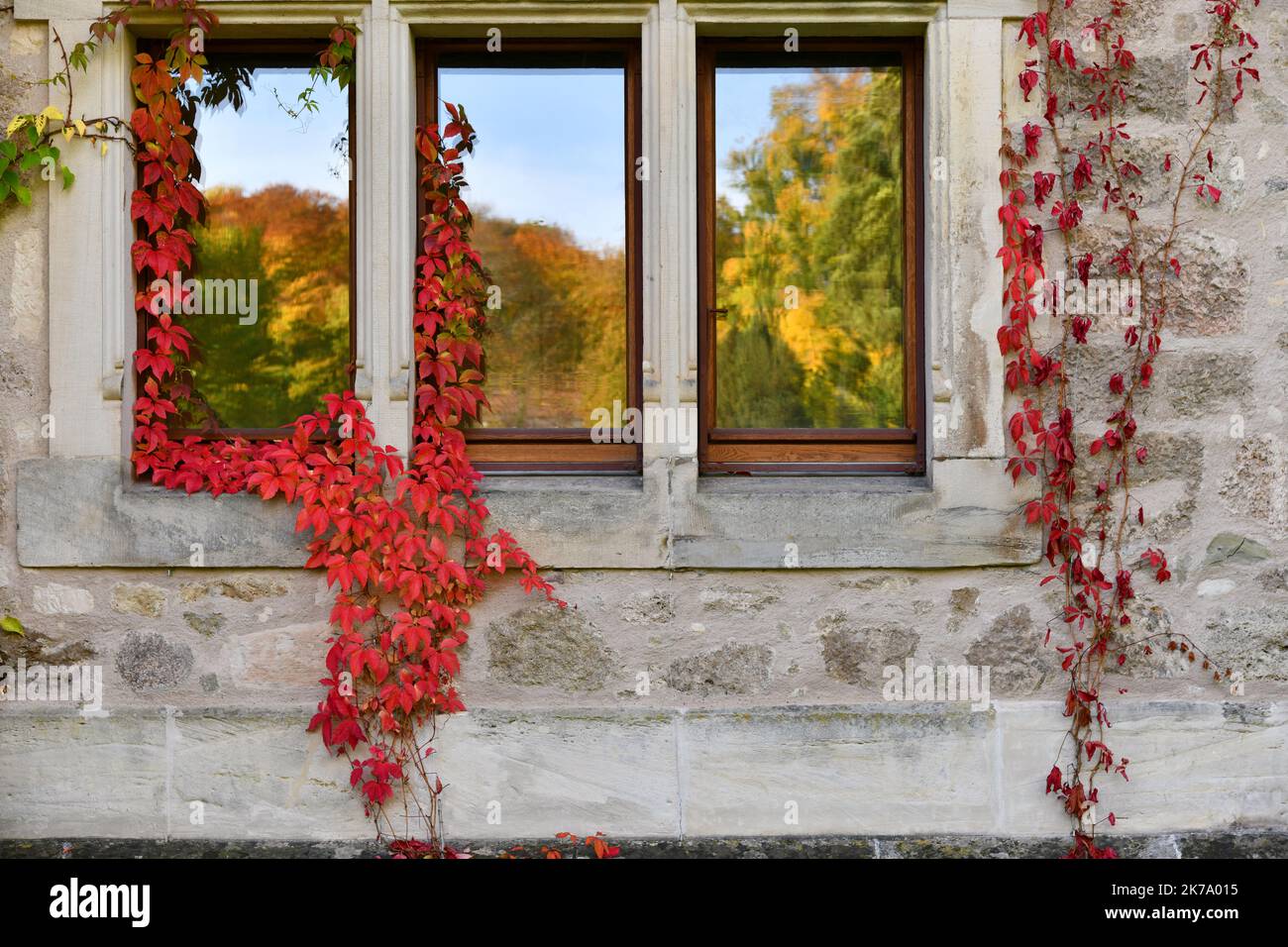 Castle window with red wine Stock Photo - Alamy