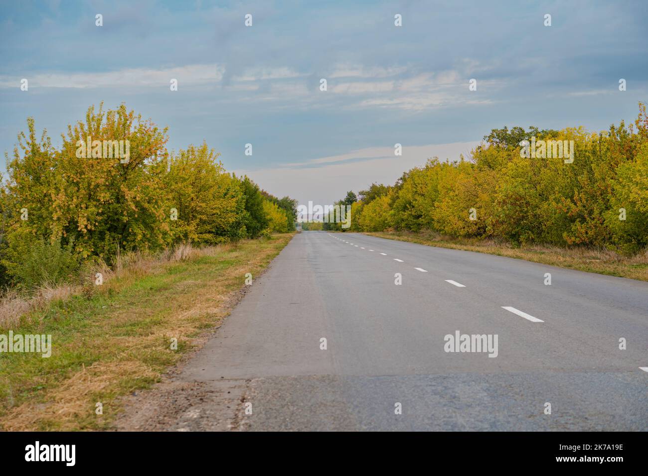 road paved on the sides of the forest and fields, landscape Stock Photo ...