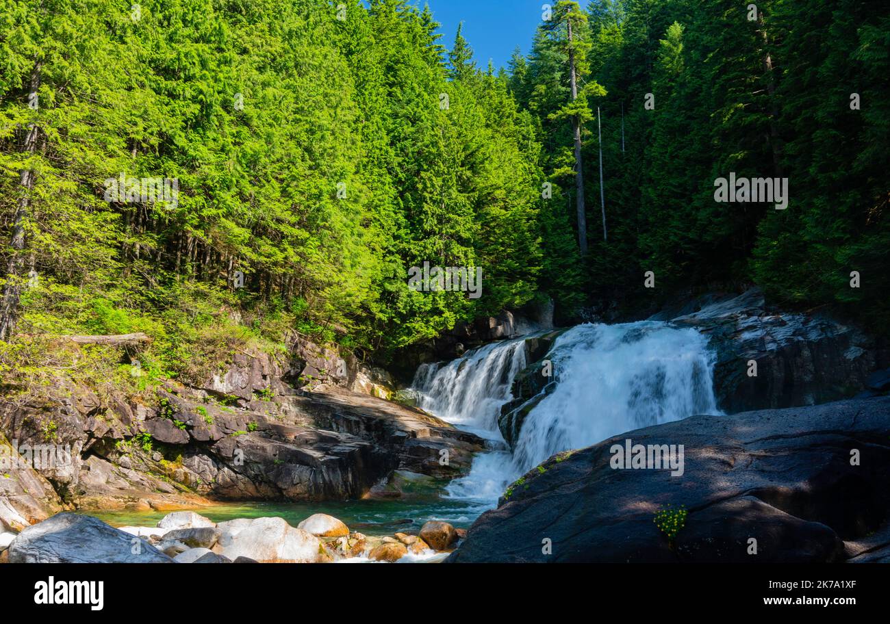 Photograph from the Gold Creek Trail, along Gold Creek, Golden Ears ...