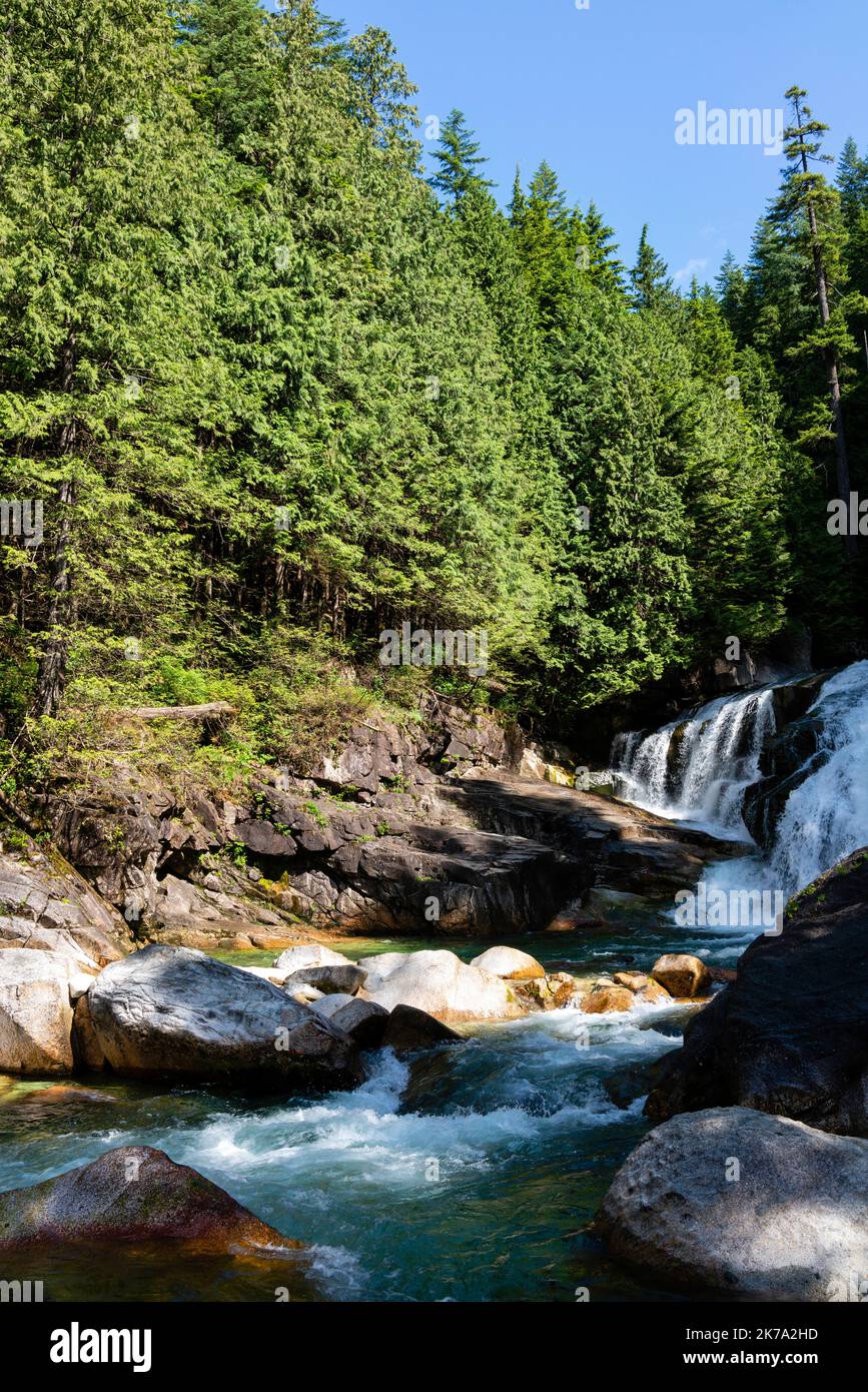 Photograph from the Gold Creek Trail, along Gold Creek, Golden Ears ...