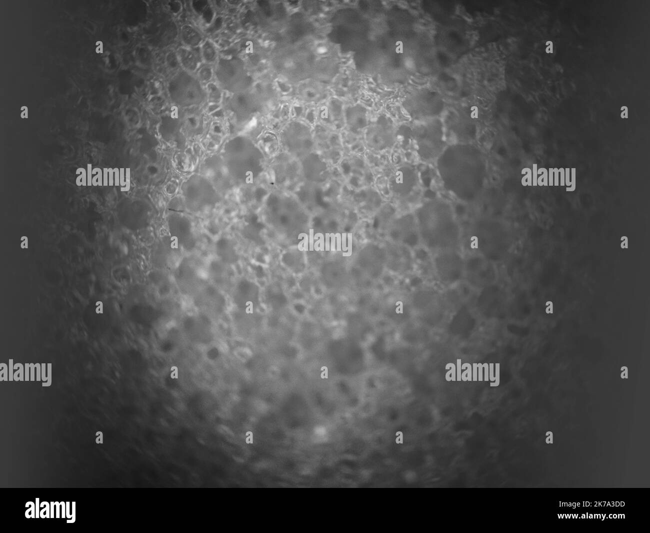 Light abstract liquid Black and White Stock Photos & Images - Alamy