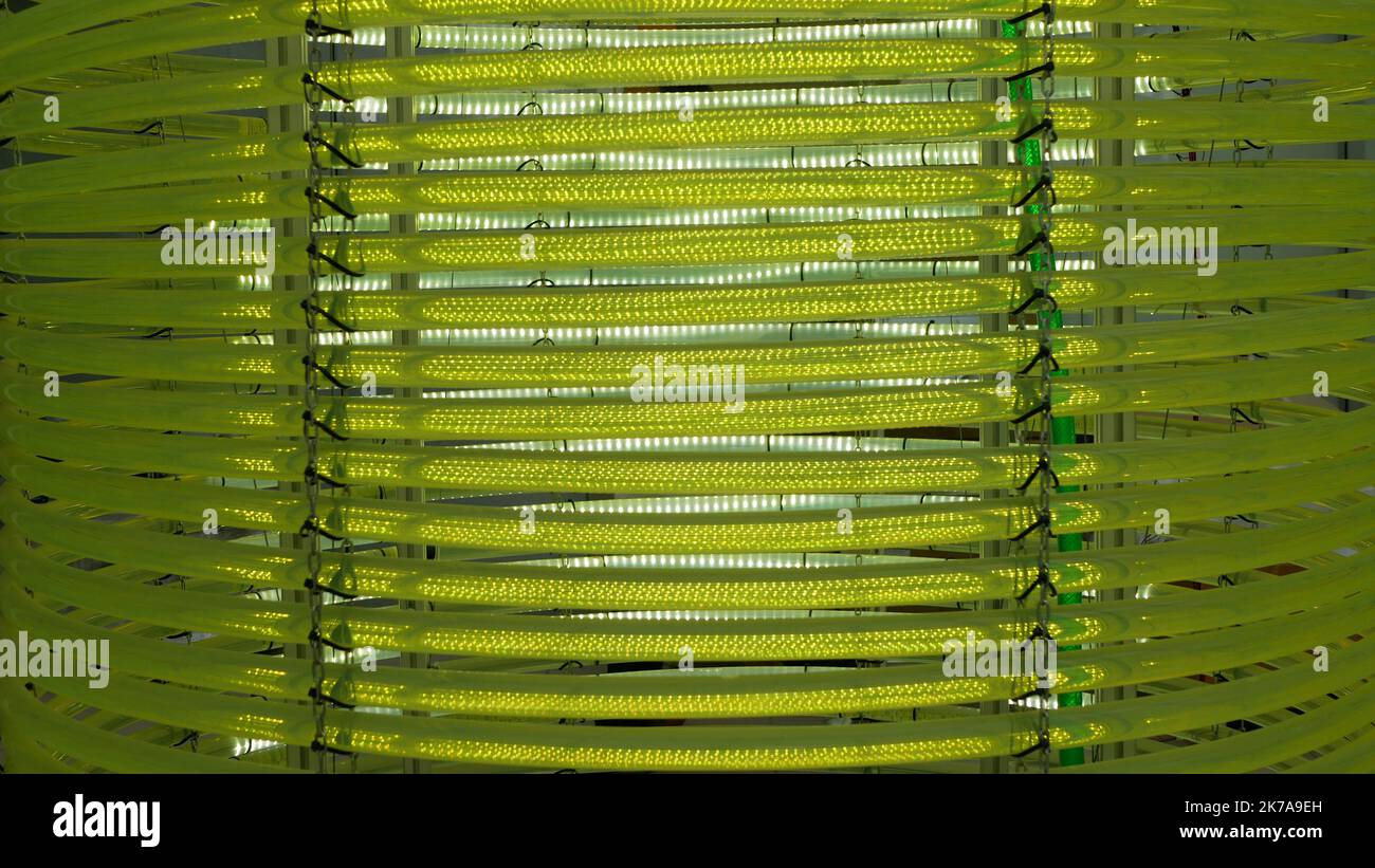 Algae science reactor tubular, research pipe hose modern laboratory ...