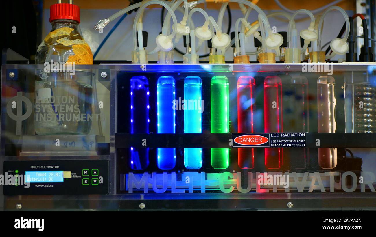 Algae science reactor, research modern laboratory bioreactor multi ...