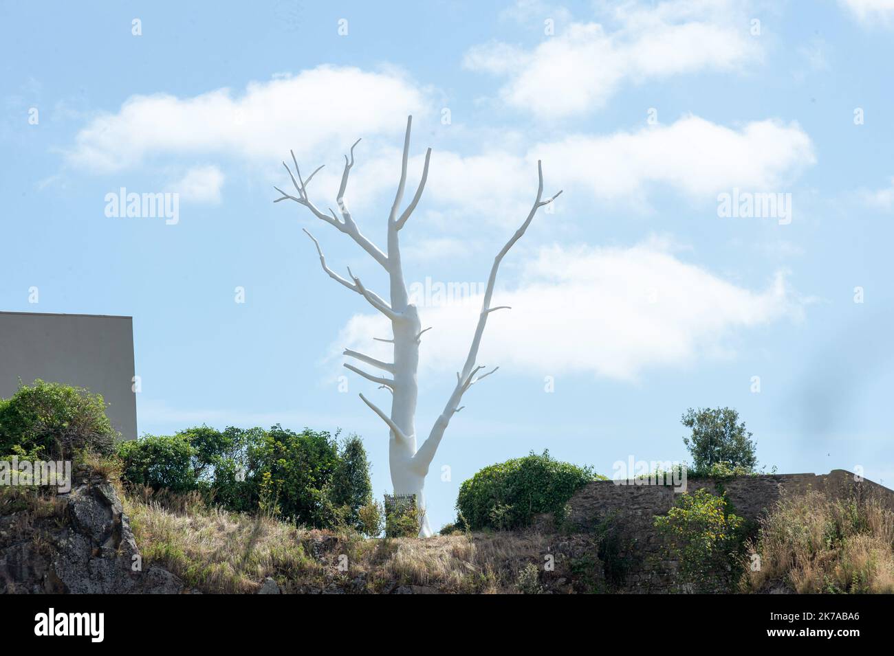 ©PHOTOPQR/OUEST FRANCE/Lucie Weeger ; Nantes ; 28/07/2020 ; Le Jardin ...