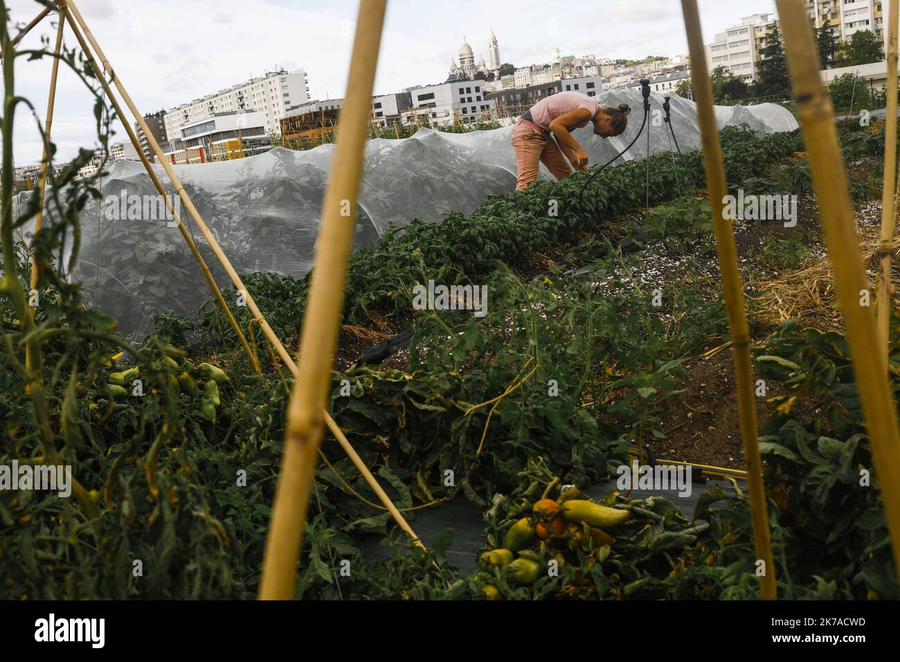 ©PHOTOPQR/LE PARISIEN/Olivier Corsan ; Paris ; 28/07/2020 ; Paris ...