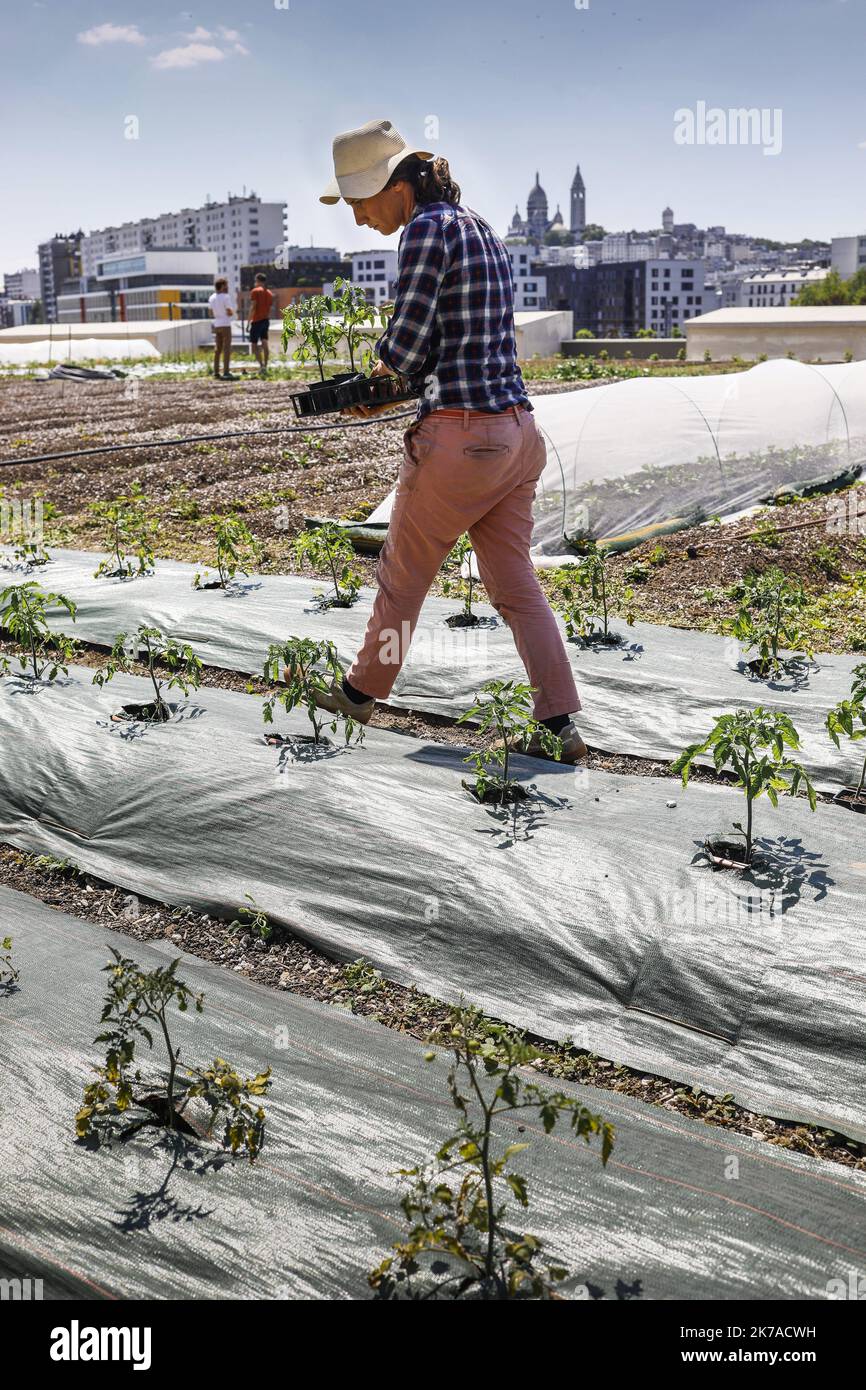 Maraichers de ferme hi-res stock photography and images - Alamy