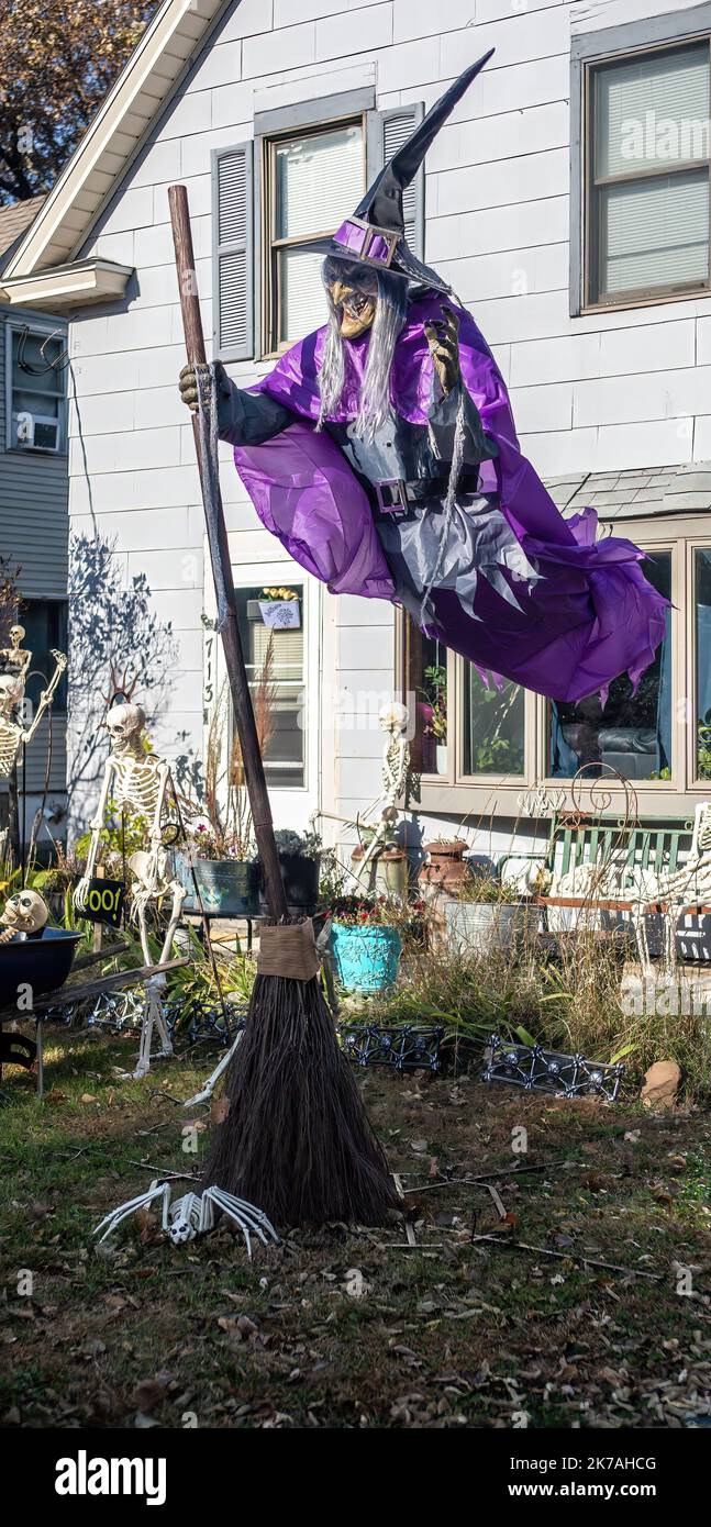 Flying witch with her broomstick with a spider and skeltons in a ...