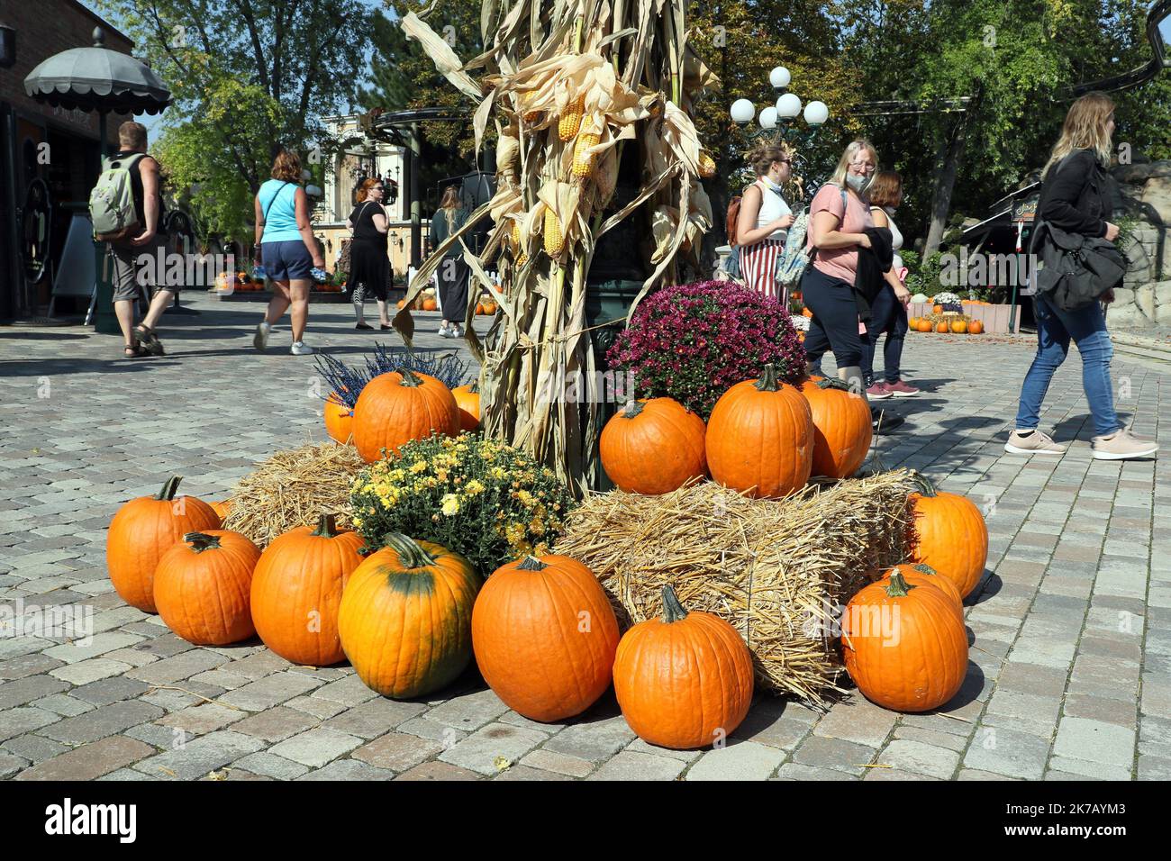 ©PHOTOPQR/L'ALSACE/Thierry GACHON ; Rust ; 17/09/2020 ; Plus de 180 000 ...