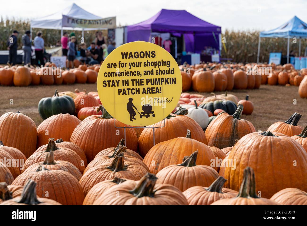 Squash rules hi-res stock photography and images - Alamy