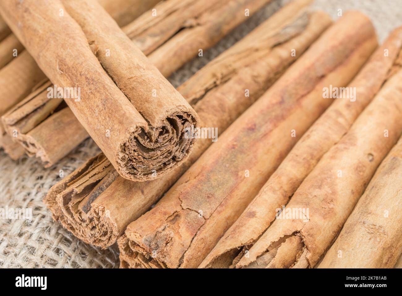Curled bark of Cinnamon / Cinnamomum verum tree on hessian sack. Common ...