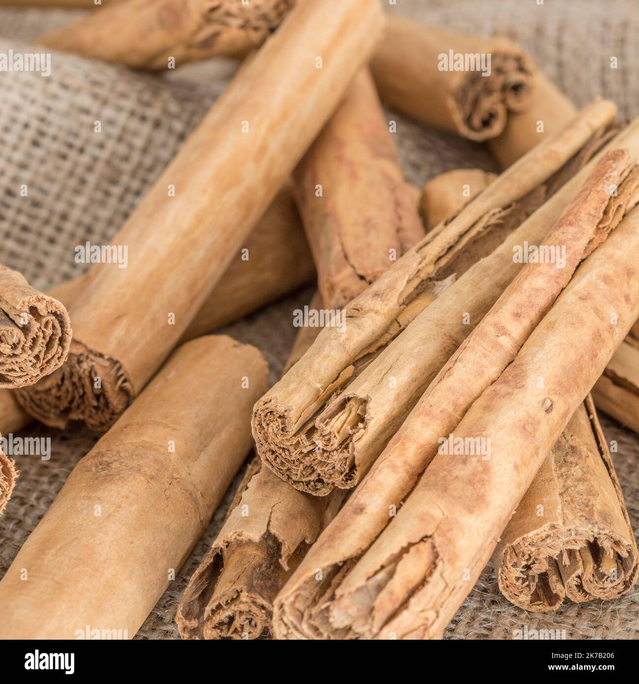 Curled bark in nature hi-res stock photography and images - Alamy