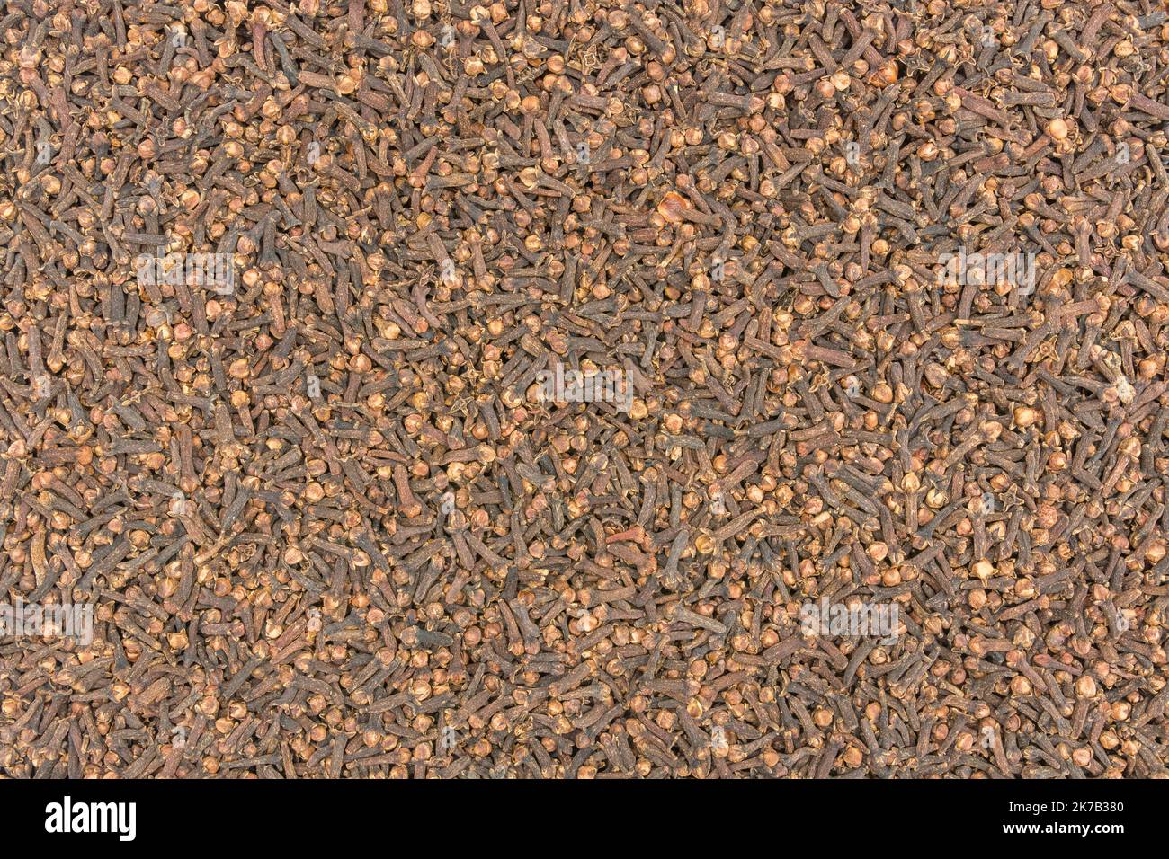 Shot of massed dried Clove / Syzygium aromaticum flower buds. Culinary ...
