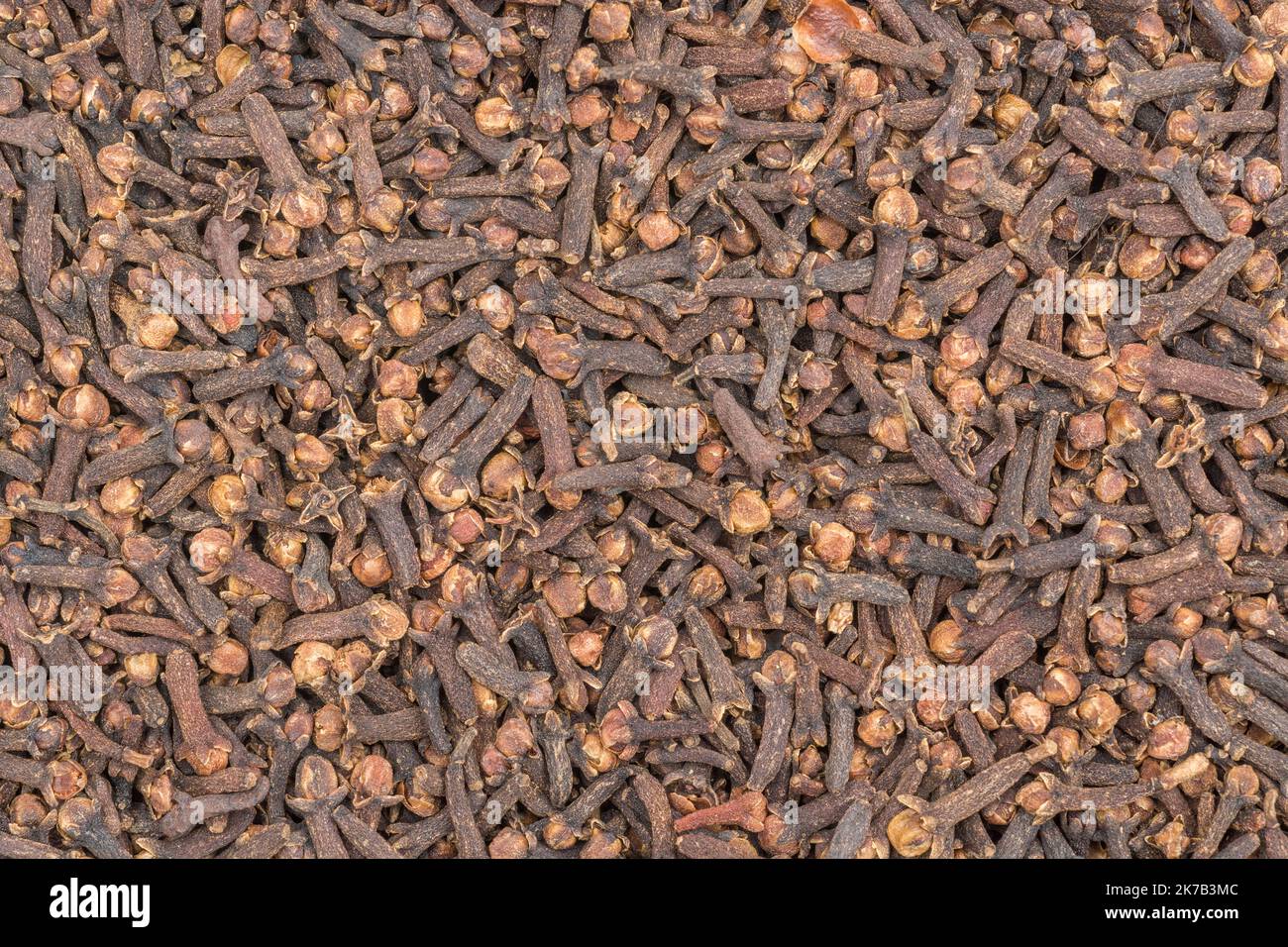 Shot of massed dried Clove / Syzygium aromaticum flower buds. Culinary ...