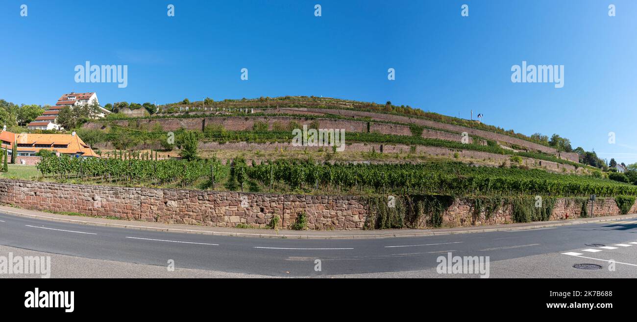 View of the National Memorial of Forced Incorporated and the terraced ...