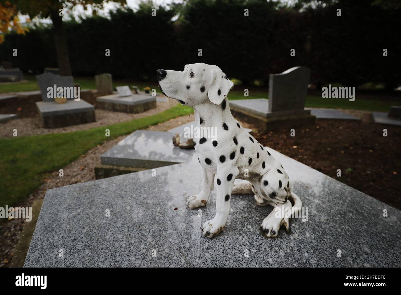 ©PHOTOPQR/VOIX DU NORD/Alexis Christiaen (Pib) ; 17/10/2020 ; Chemy ...