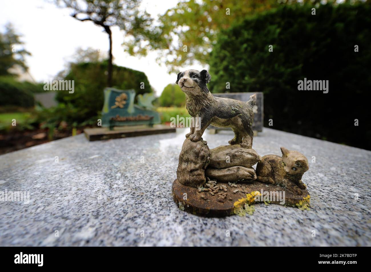 ©PHOTOPQR/VOIX DU NORD/Alexis Christiaen (Pib) ; 17/10/2020 ; Chemy ...