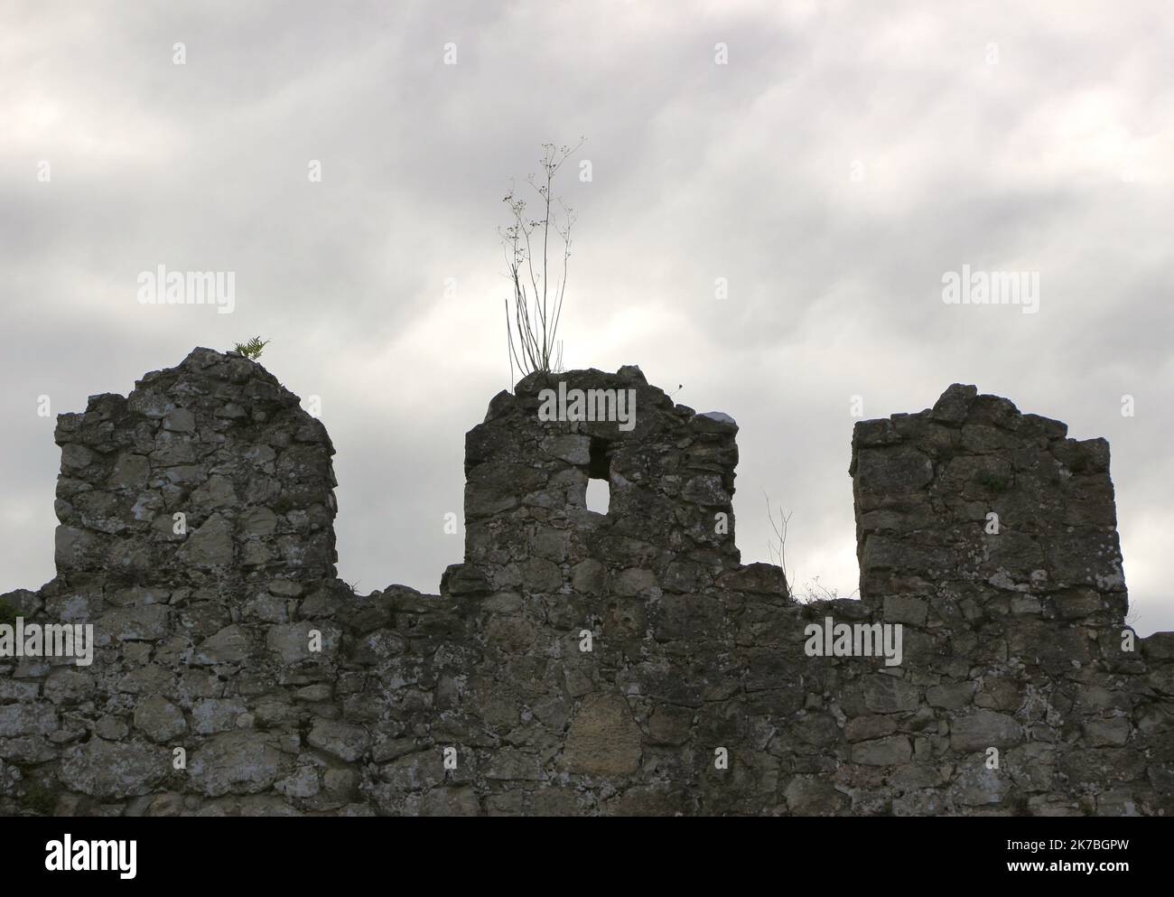 Medieval castellated stone wall overgrown with ivy Llanes Asturias ...