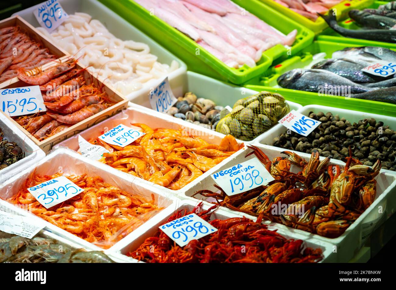 Assortment of fresh daily catch of fishes, seashells, molluscs on ice ...