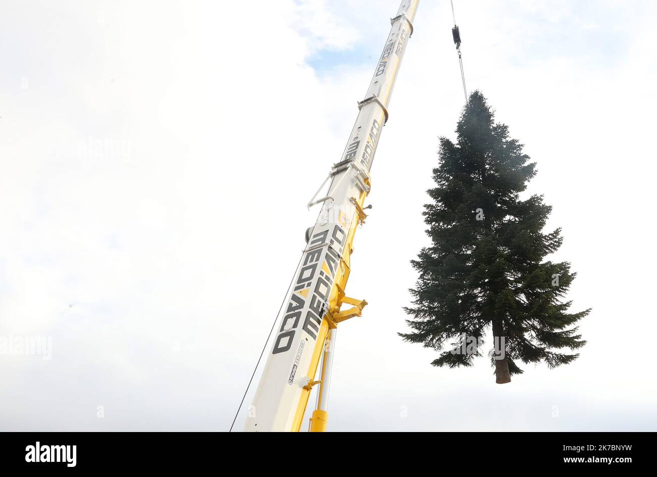 Installation de sapin de noel hi-res stock photography and images - Alamy