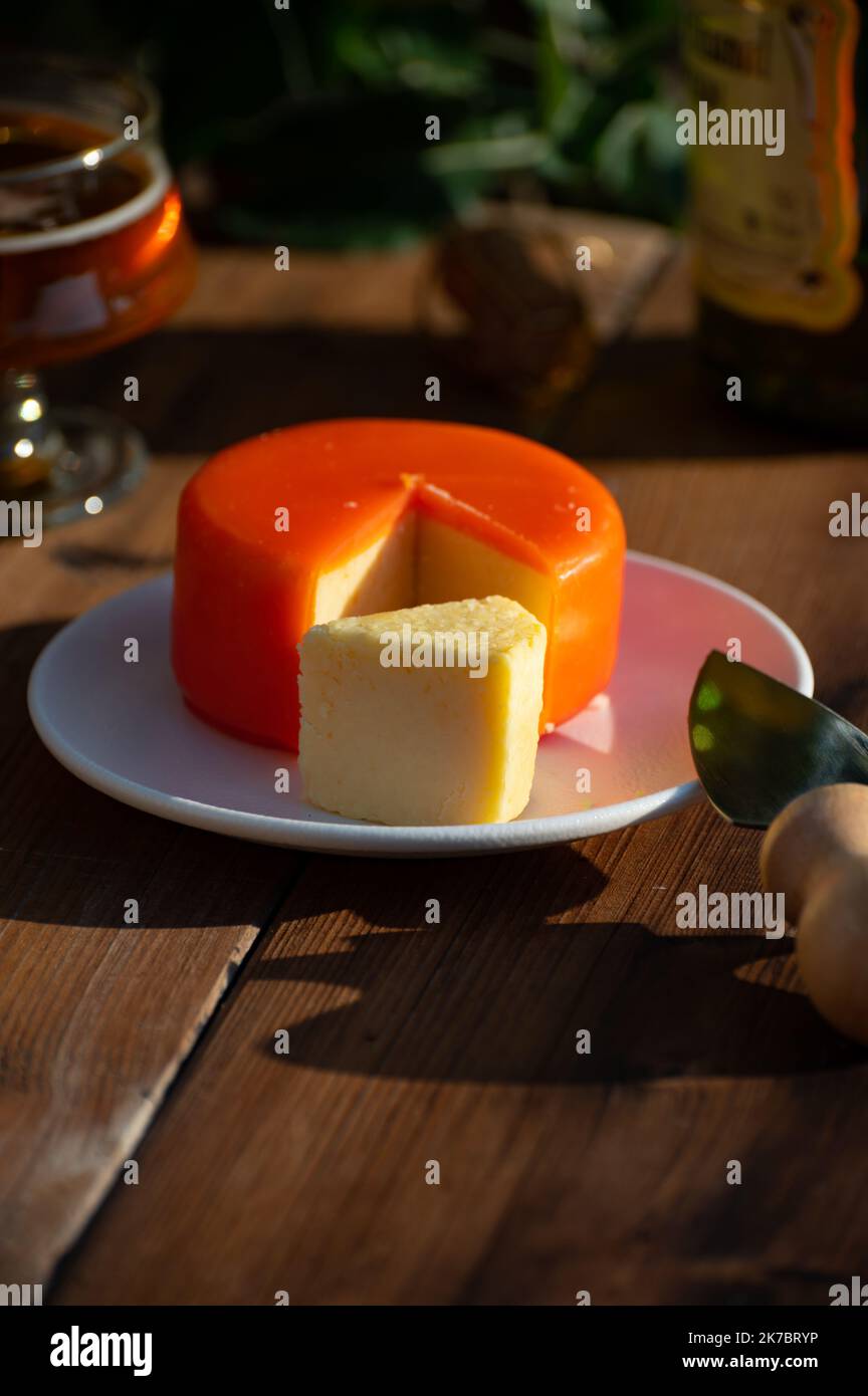 Tasting of organic farmers cheddar cheese in orange wax outdoor Stock ...