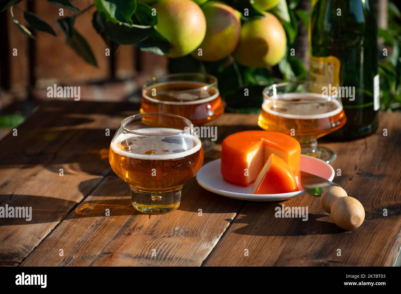 Food and drink pairing, apple cider in glasses produced on organic farm ...