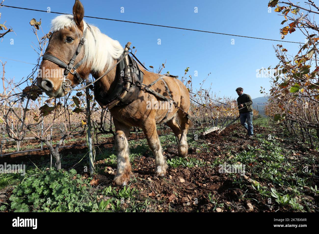 Roman estate hi-res stock photography and images - Alamy